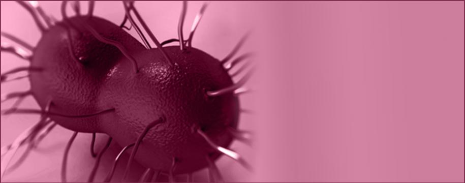 STDs | National Prevention Information Network